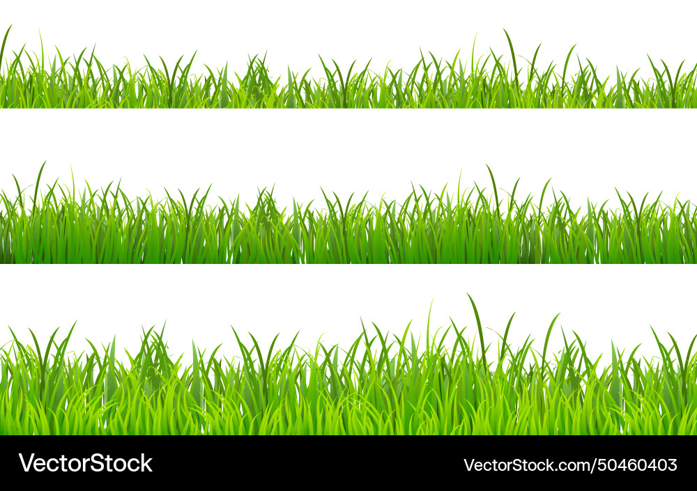 Green grass borders set isolated on white Vector Image