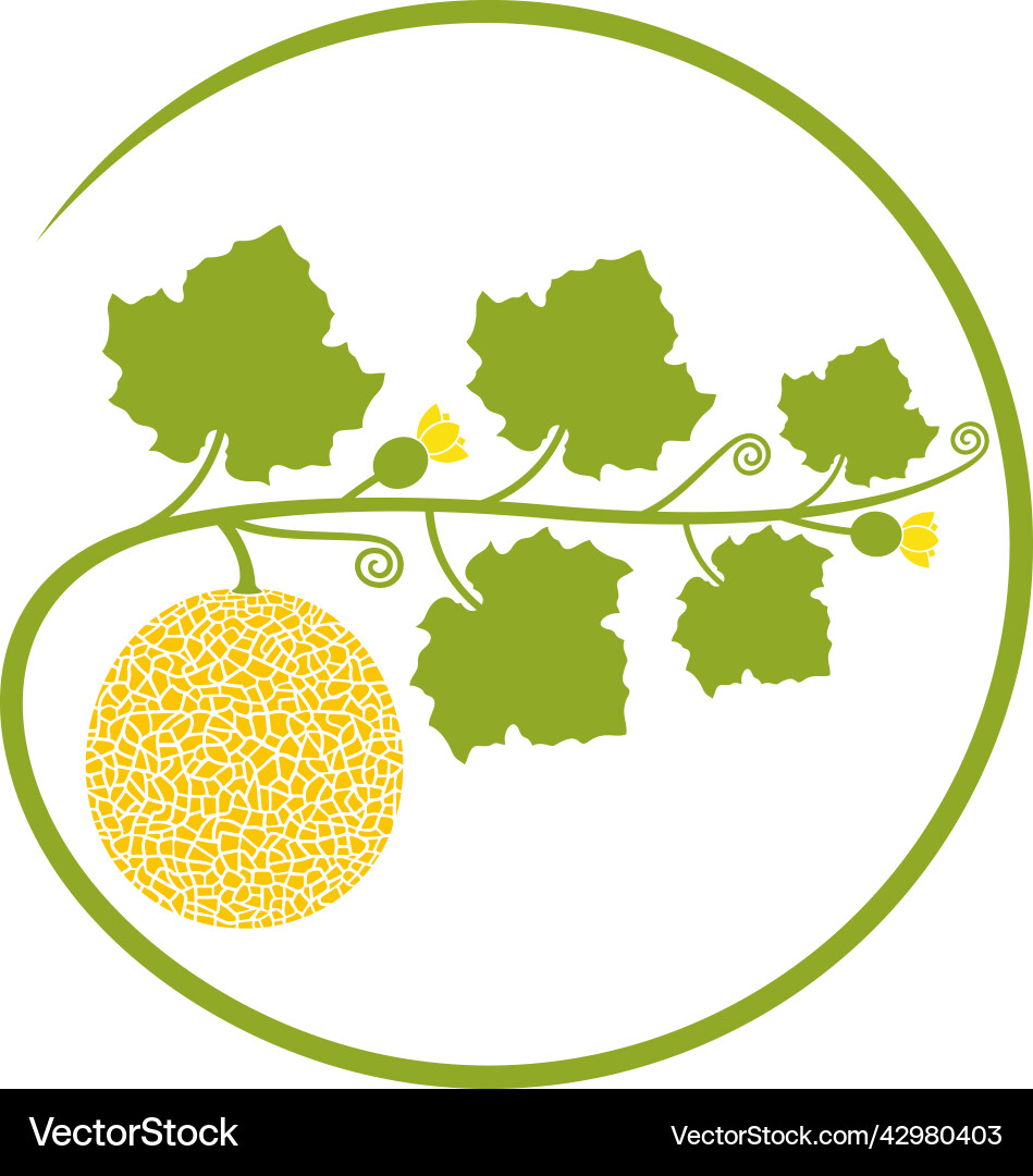 Melon Royalty Free Vector Image - VectorStock