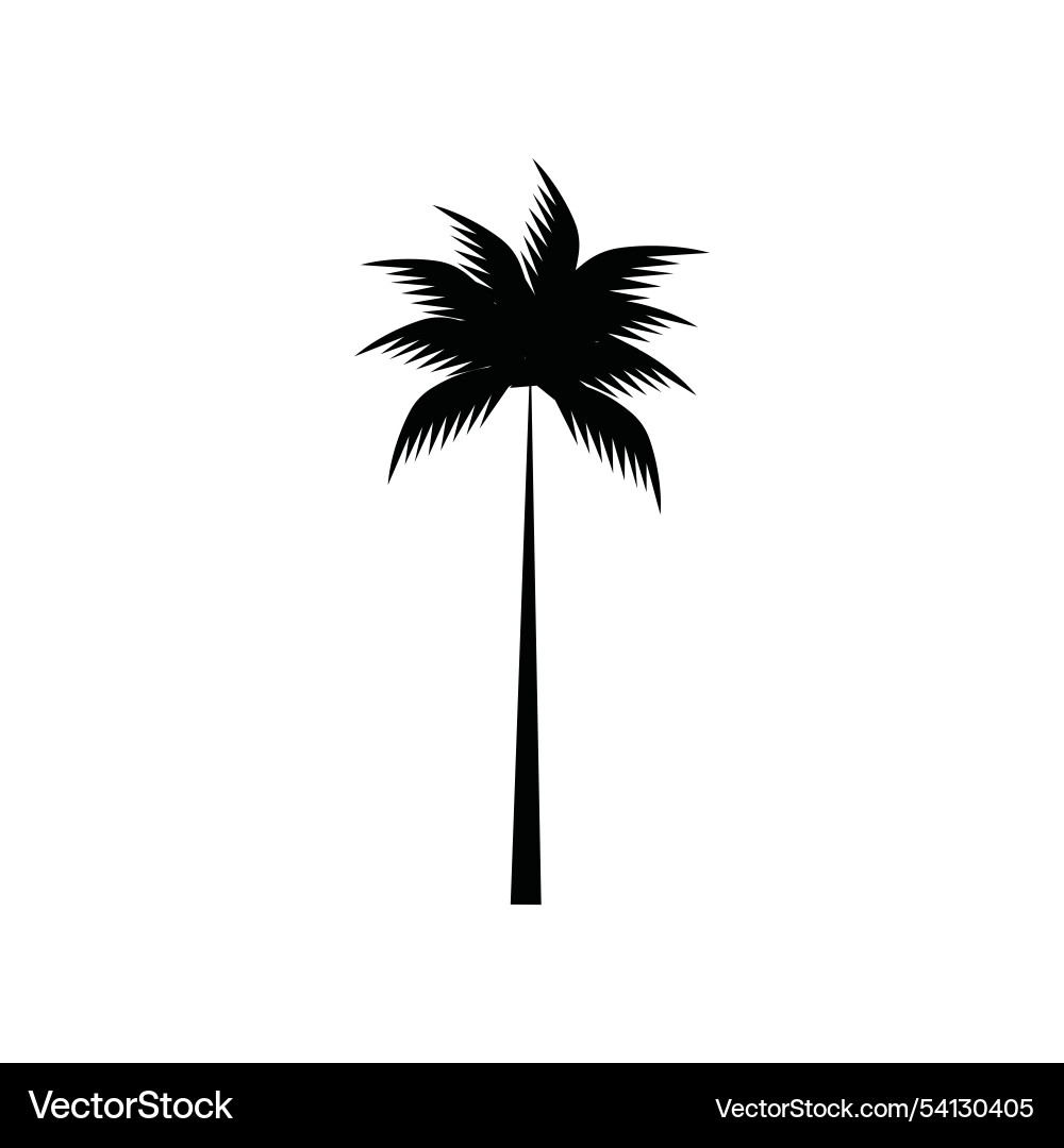 Coconut tree icon Royalty Free Vector Image - VectorStock