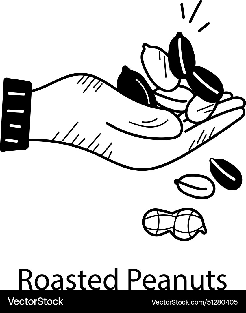 Roasted peanuts Royalty Free Vector Image - VectorStock