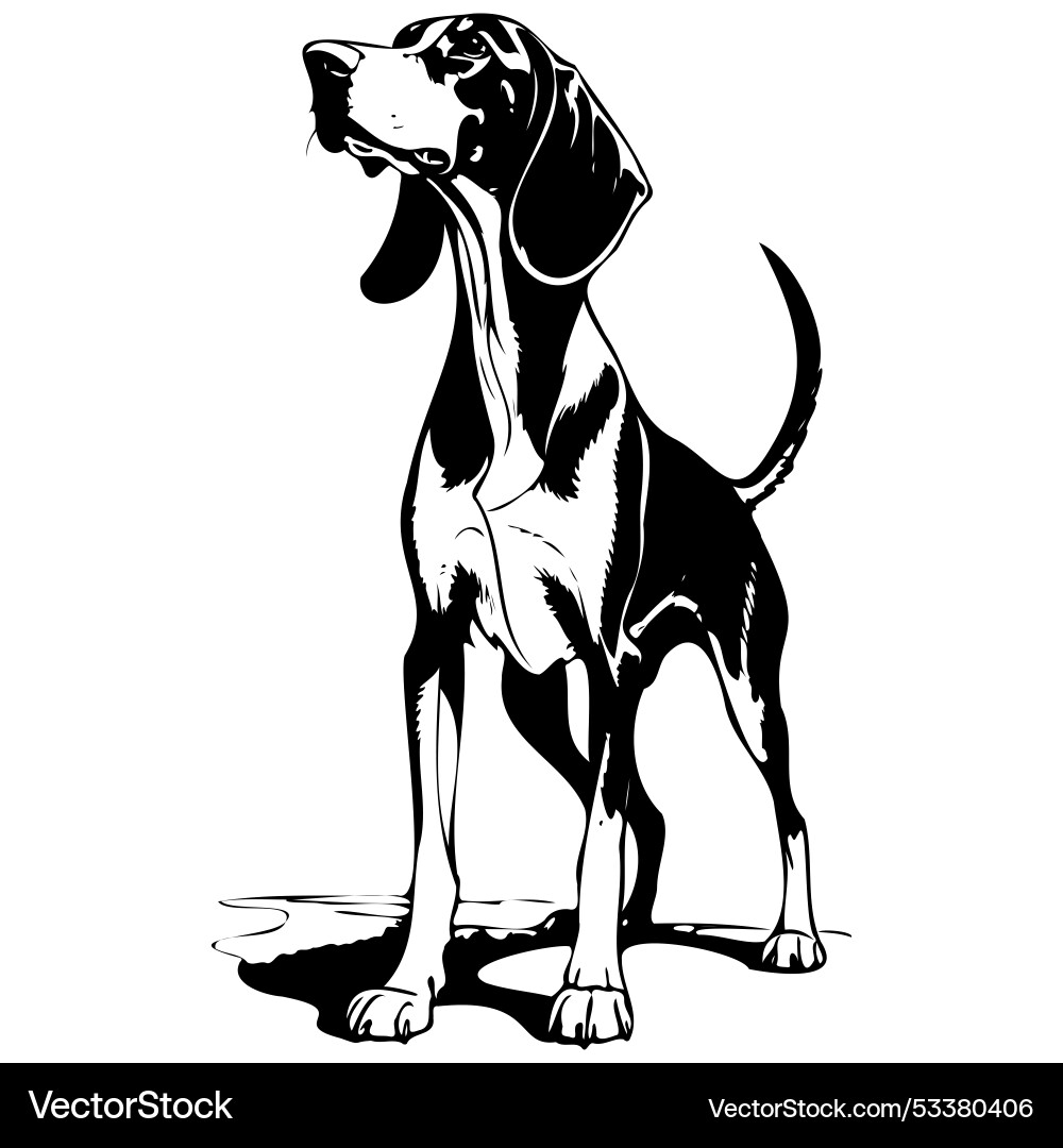 Black and tan coonhound drawing animal head Vector Image
