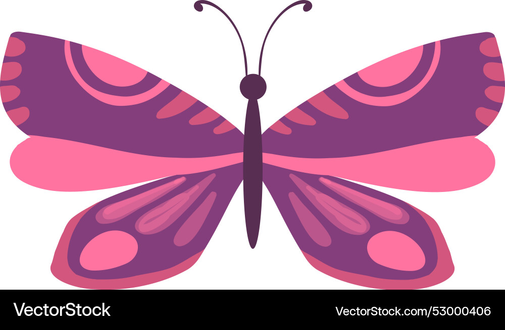 Cute butterfly decorative spring Royalty Free Vector Image
