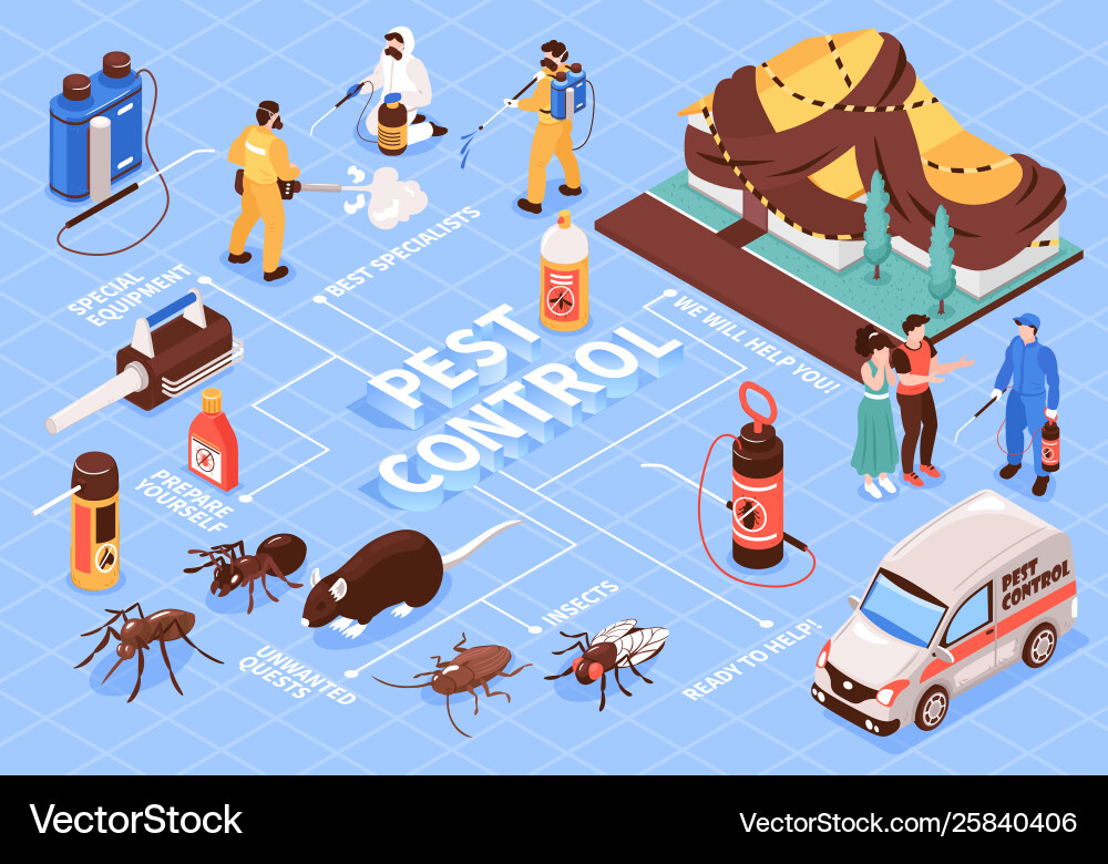 Pest control isometric flowchart Royalty Free Vector Image