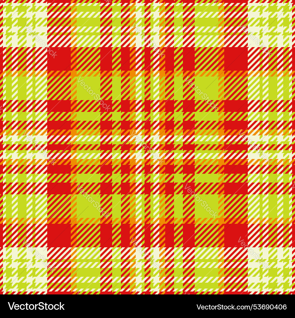 Rustic tartan fabric textile victorian check Vector Image