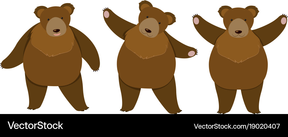 Brown bear in three actions Royalty Free Vector Image