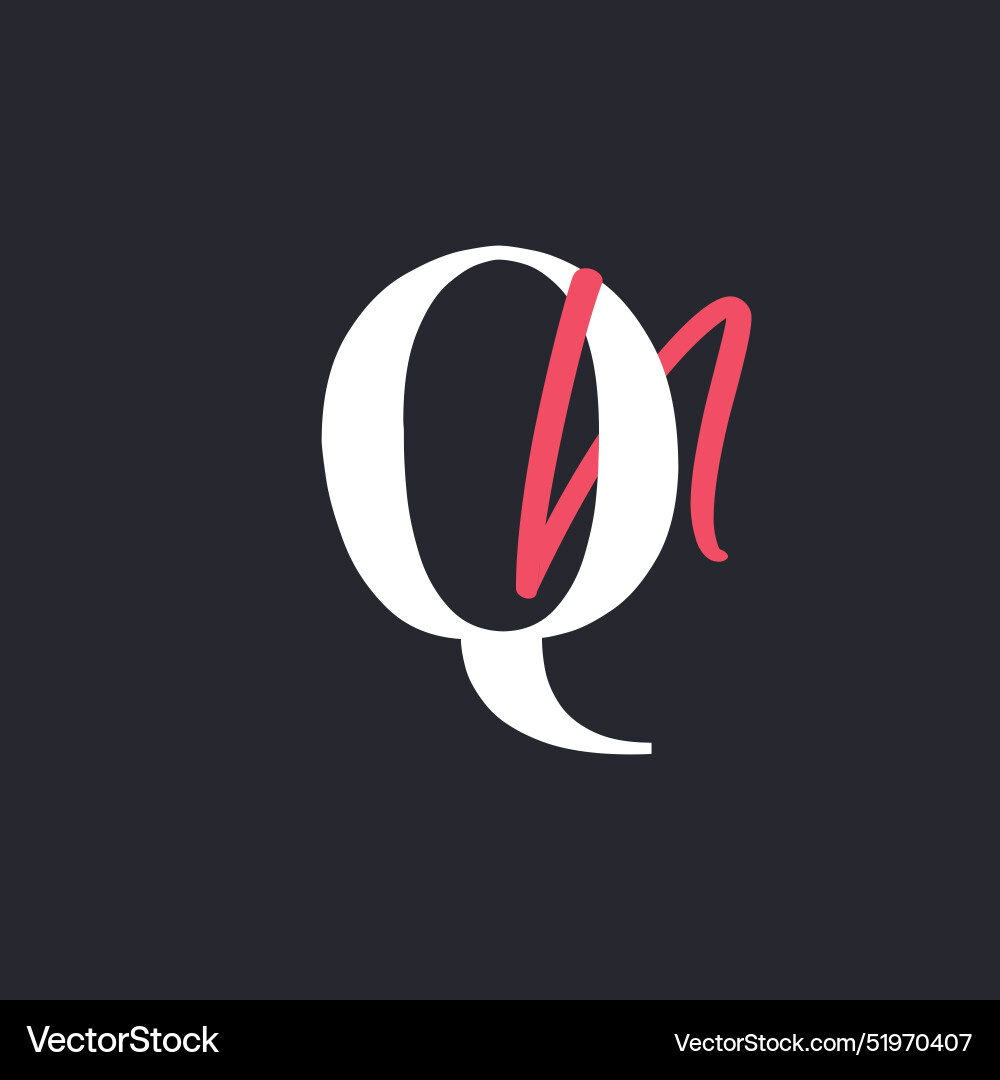 Letter qn logo perfectly blended initials Vector Image