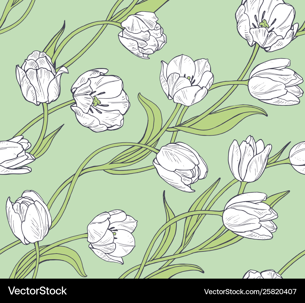 White tulips pattern Royalty Free Vector Image