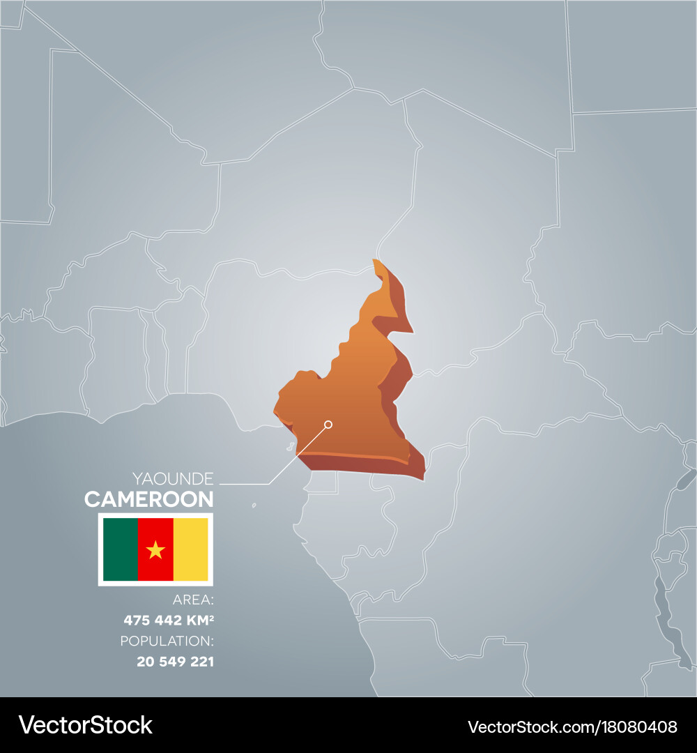 Cameroon information map Royalty Free Vector Image