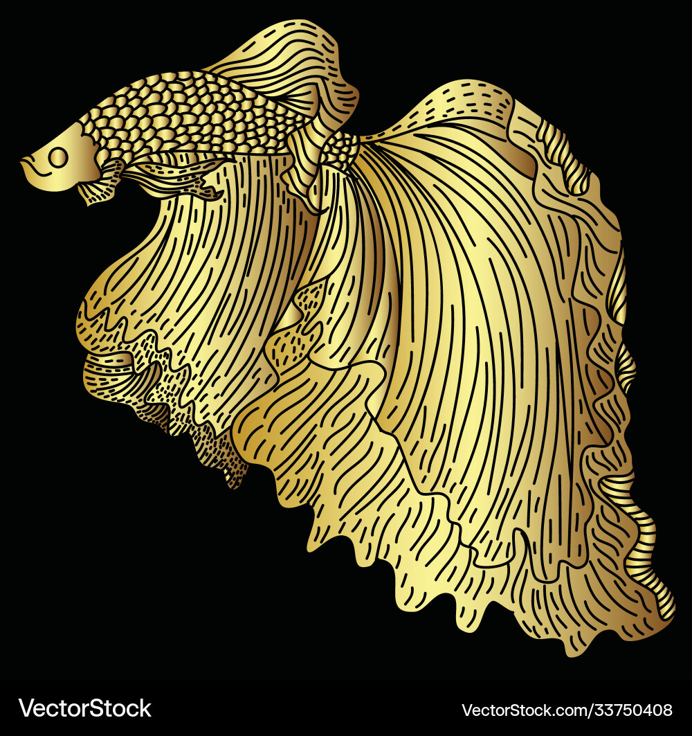 Colorful betta fish Royalty Free Vector Image - VectorStock