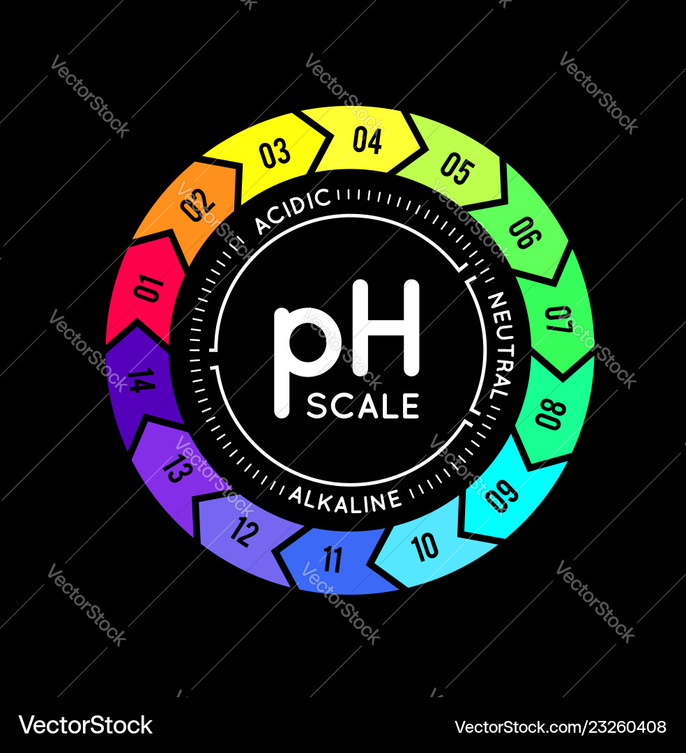 Ph meter for measuring acid alkaline balance Vector Image