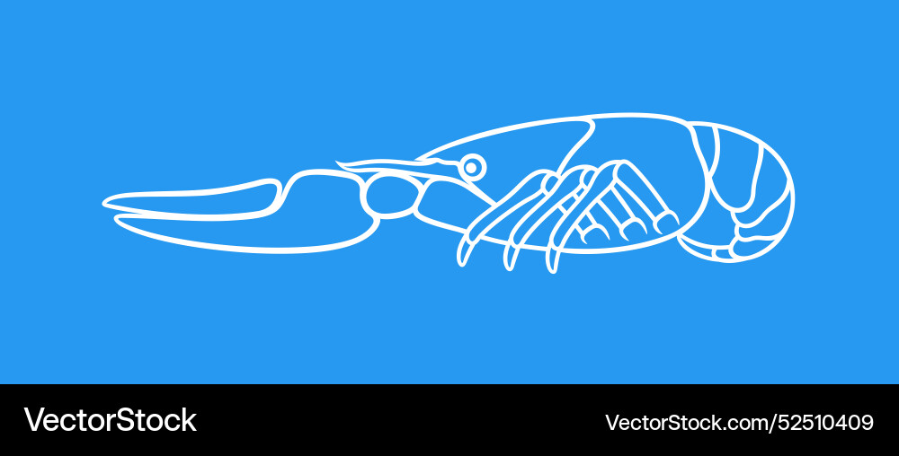 Crayfish Royalty Free Vector Image - VectorStock