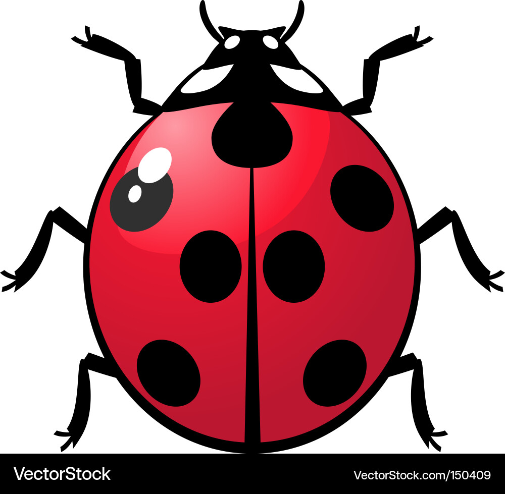 Lady bug Royalty Free Vector Image - VectorStock