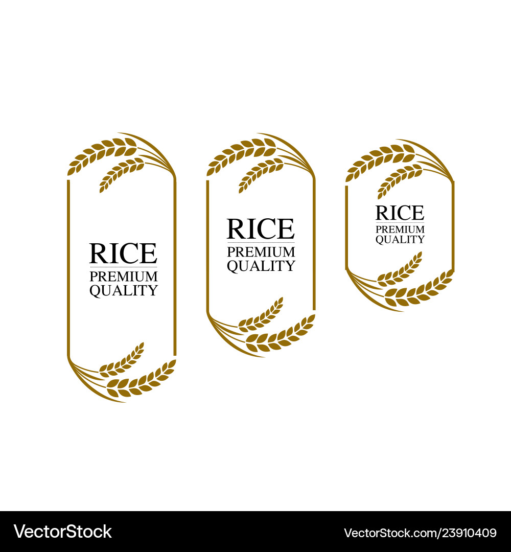 Premium rice great quality design concept Vector Image