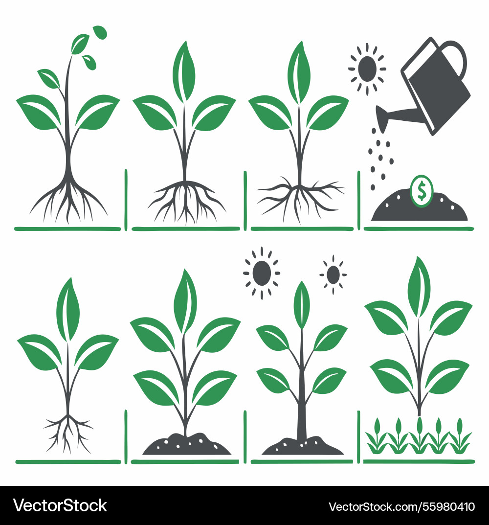 Plants icons Royalty Free Vector Image - VectorStock