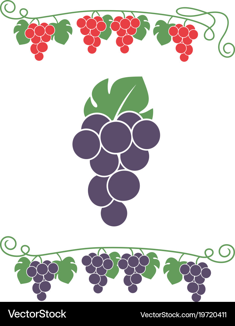 Grape logo Royalty Free Vector Image - VectorStock