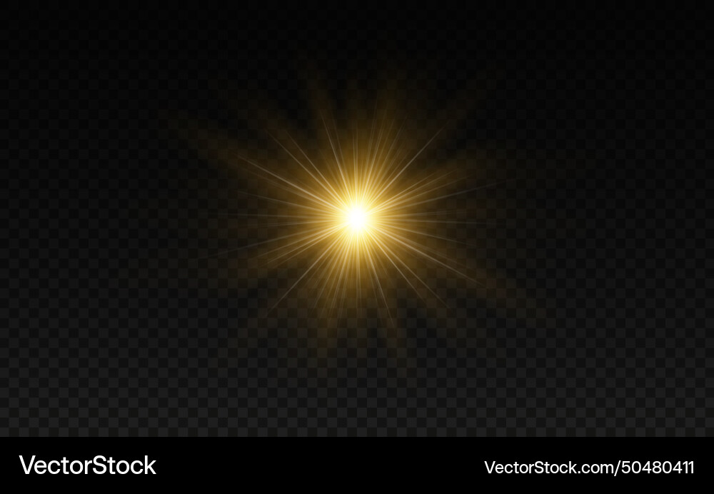 Shining golden star Royalty Free Vector Image - VectorStock