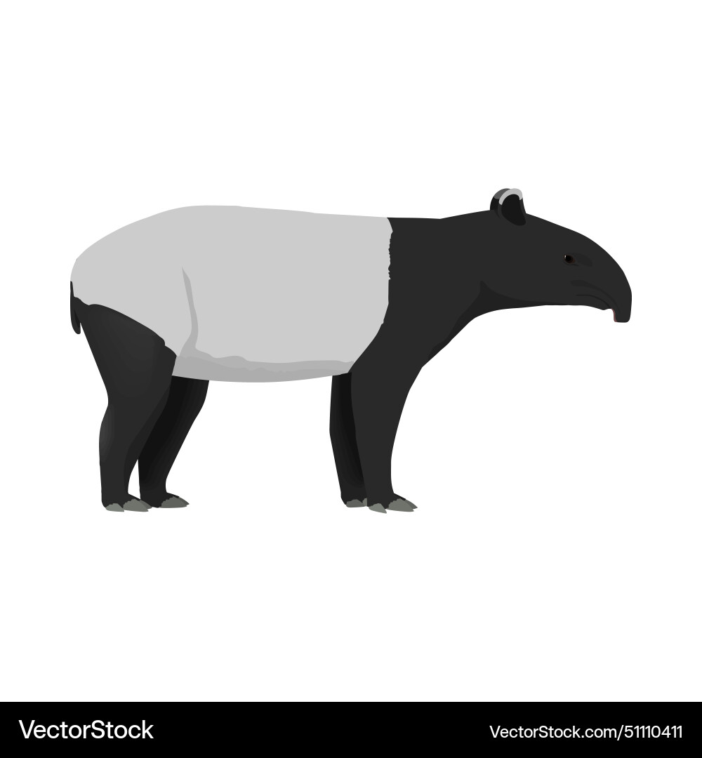 Tapirus indicus - malayan tapir lateral view Vector Image