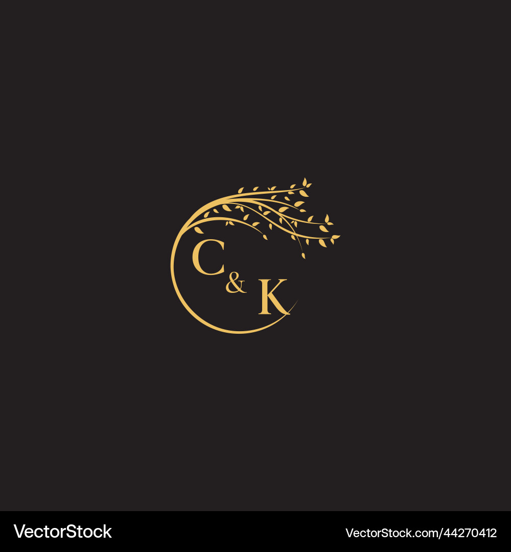 Ck nature theme logo initial concept with high Vector Image