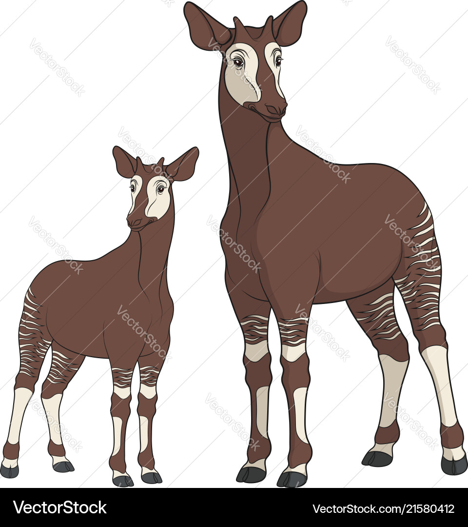 Colored with okapi image Royalty Free Vector Image