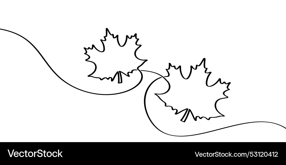 Minimalist maple leaf line art with flowing curves