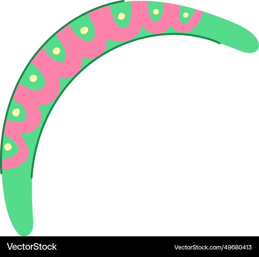 Bumerang boomerang cartoon Royalty Free Vector Image