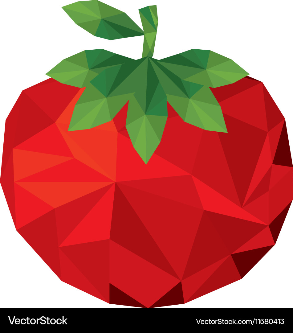 Tomato abstract design Royalty Free Vector Image