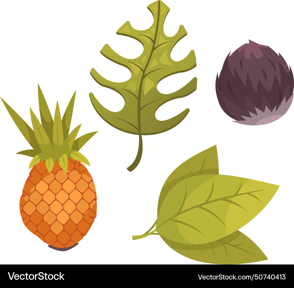 Tropical fruits Royalty Free Vector Image - VectorStock