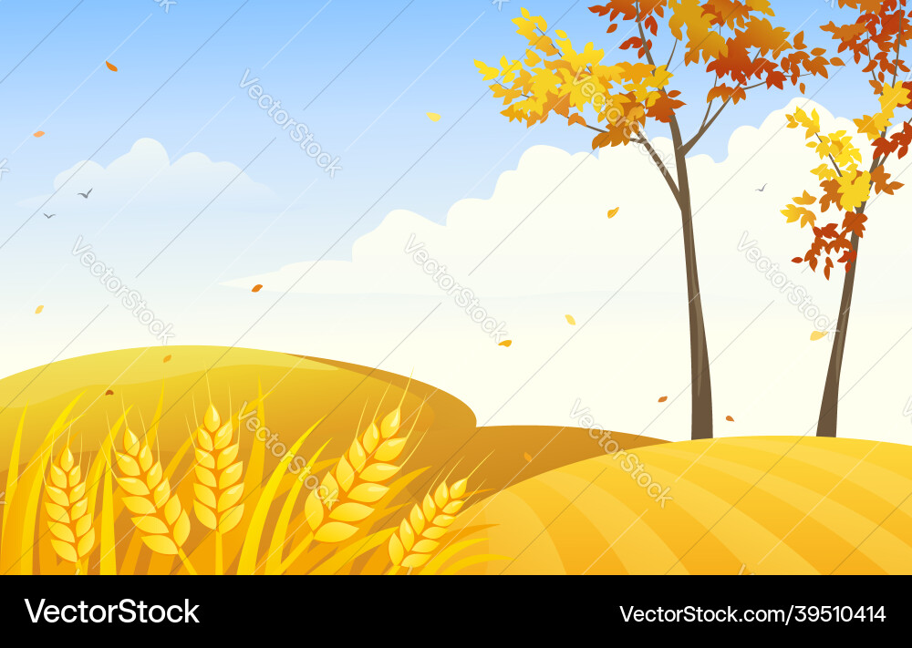 Wheat field background Royalty Free Vector Image