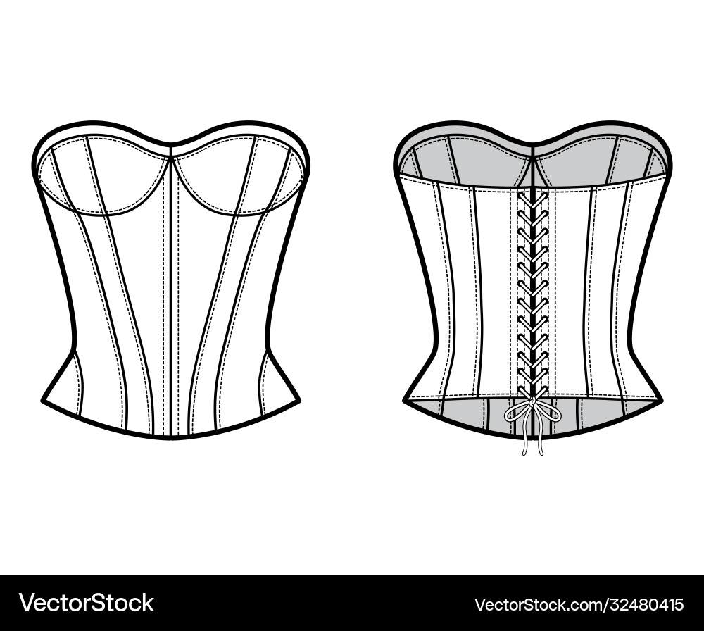 Corset-style top technical fashion Royalty Free Vector Image