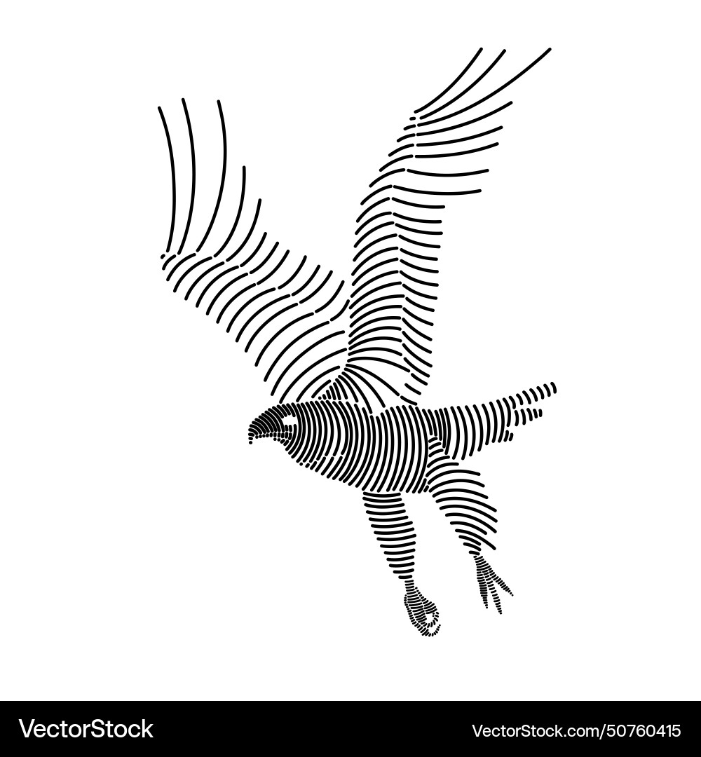 Simple line art of an eagle 3 Royalty Free Vector Image