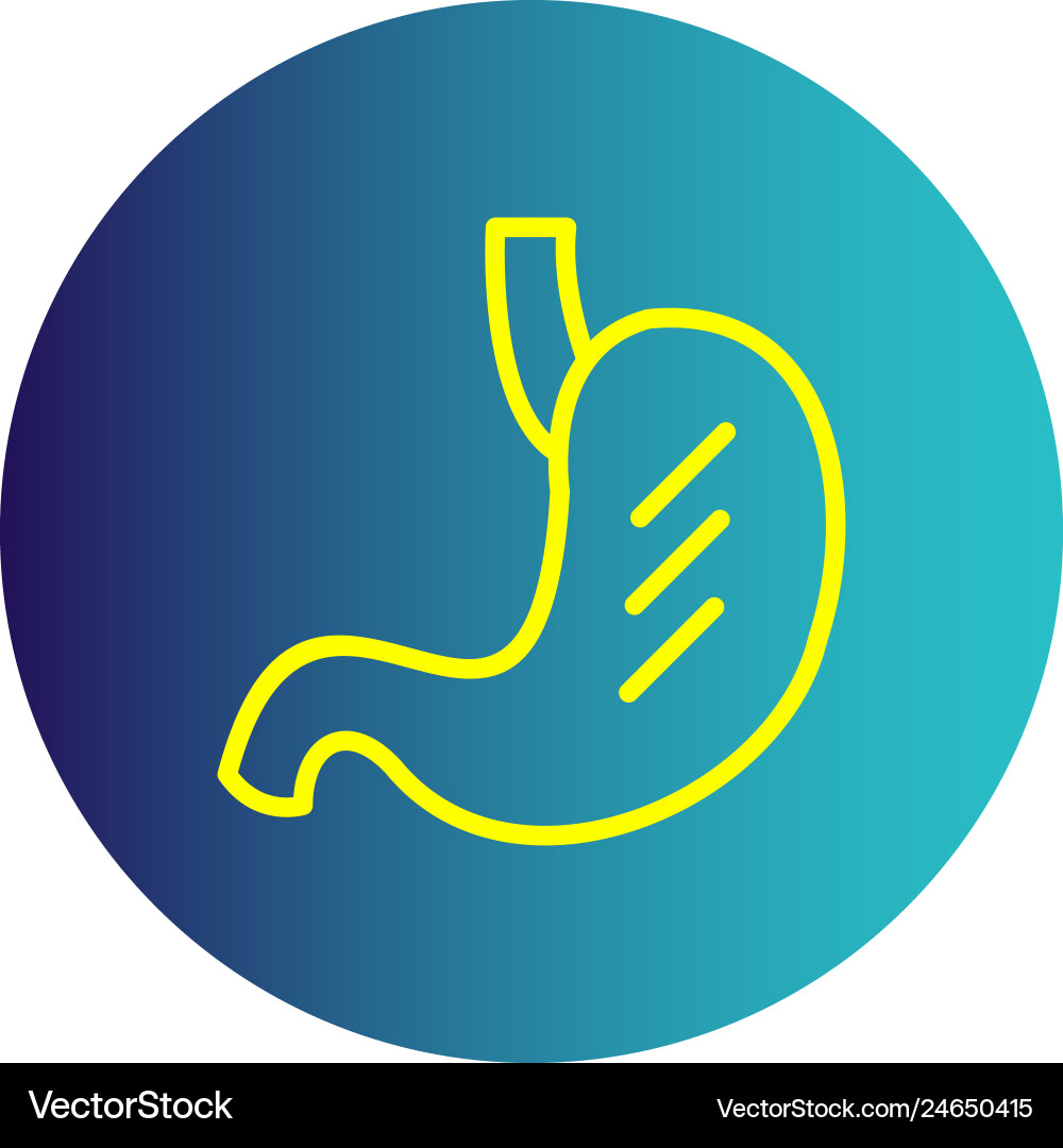 Stomach icon Royalty Free Vector Image - VectorStock