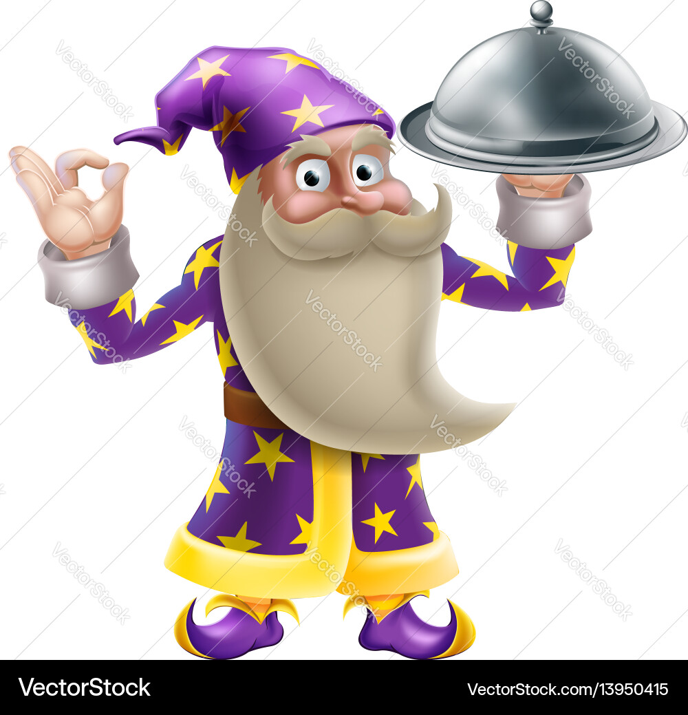 Wizard chef or cook Royalty Free Vector Image - VectorStock