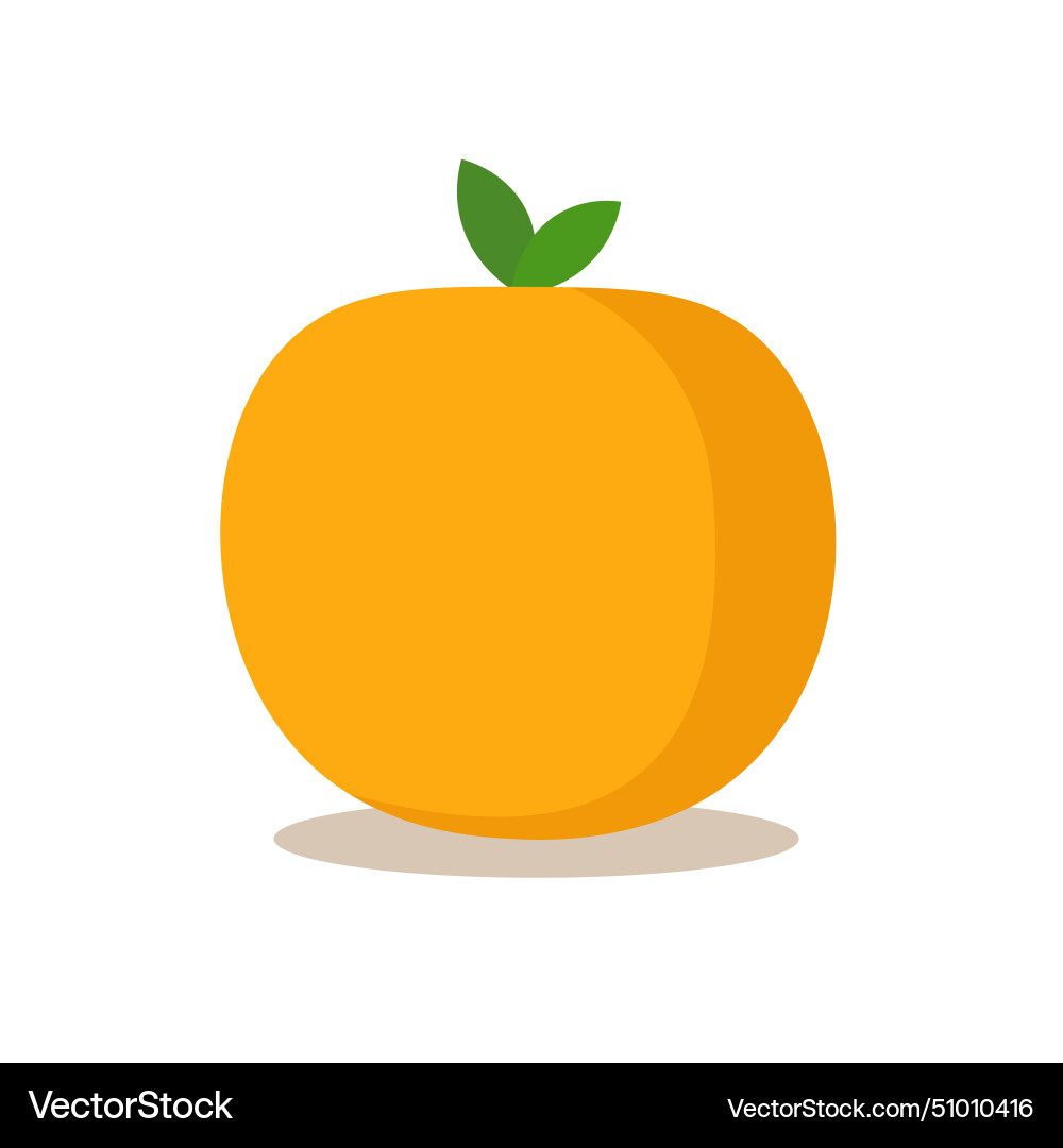 Cute orange citrus icon Royalty Free Vector Image