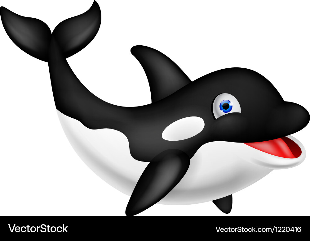 Cute Orca Cartoon Royalty Free Vector Image - VectorStock