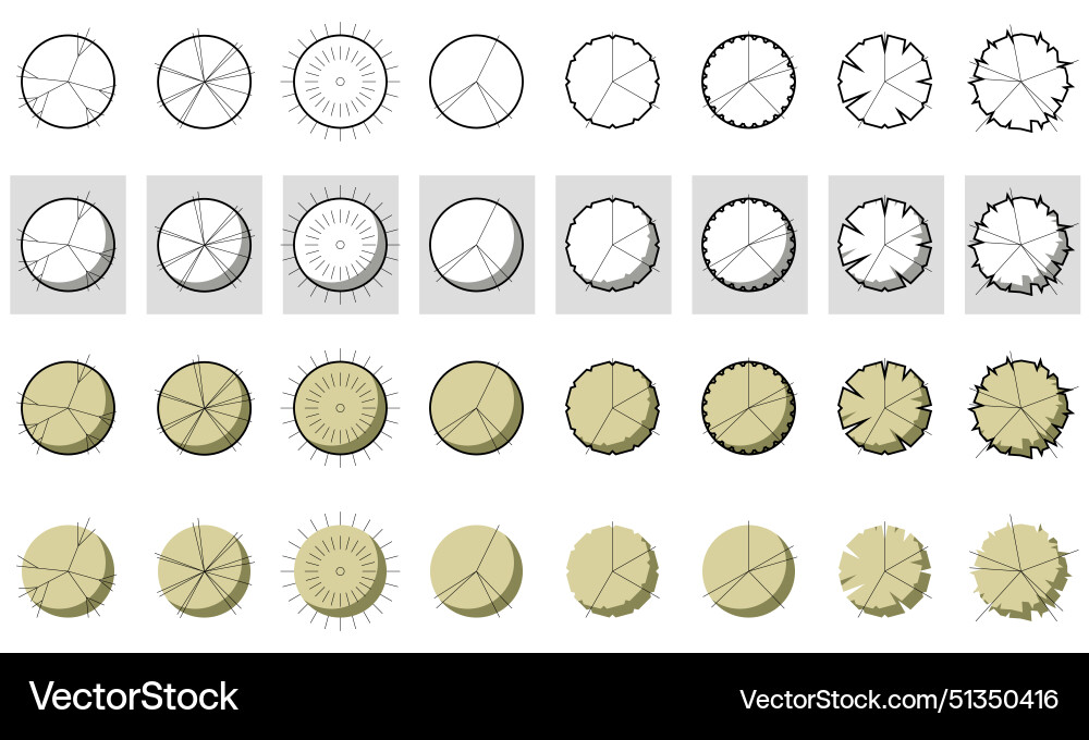 Tree top view plant landscape architecture nature Vector Image