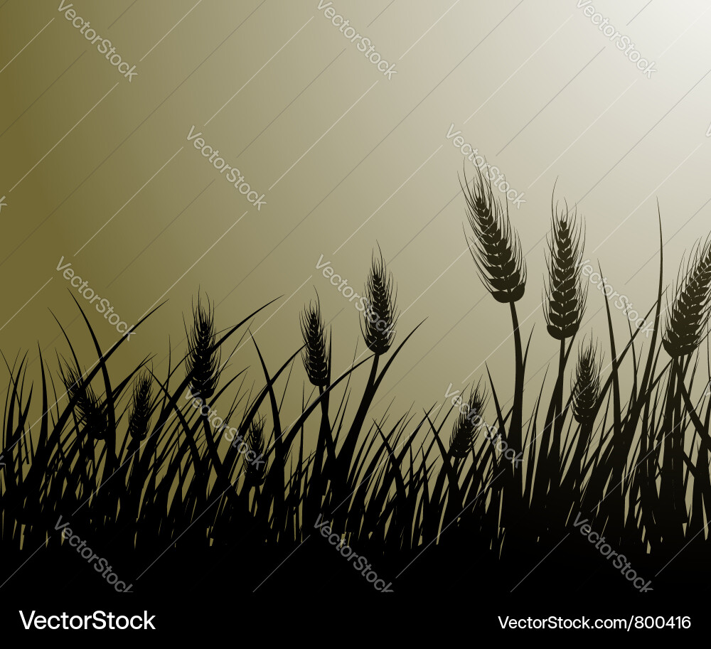 Corn Field Vector Images (over 15,000)