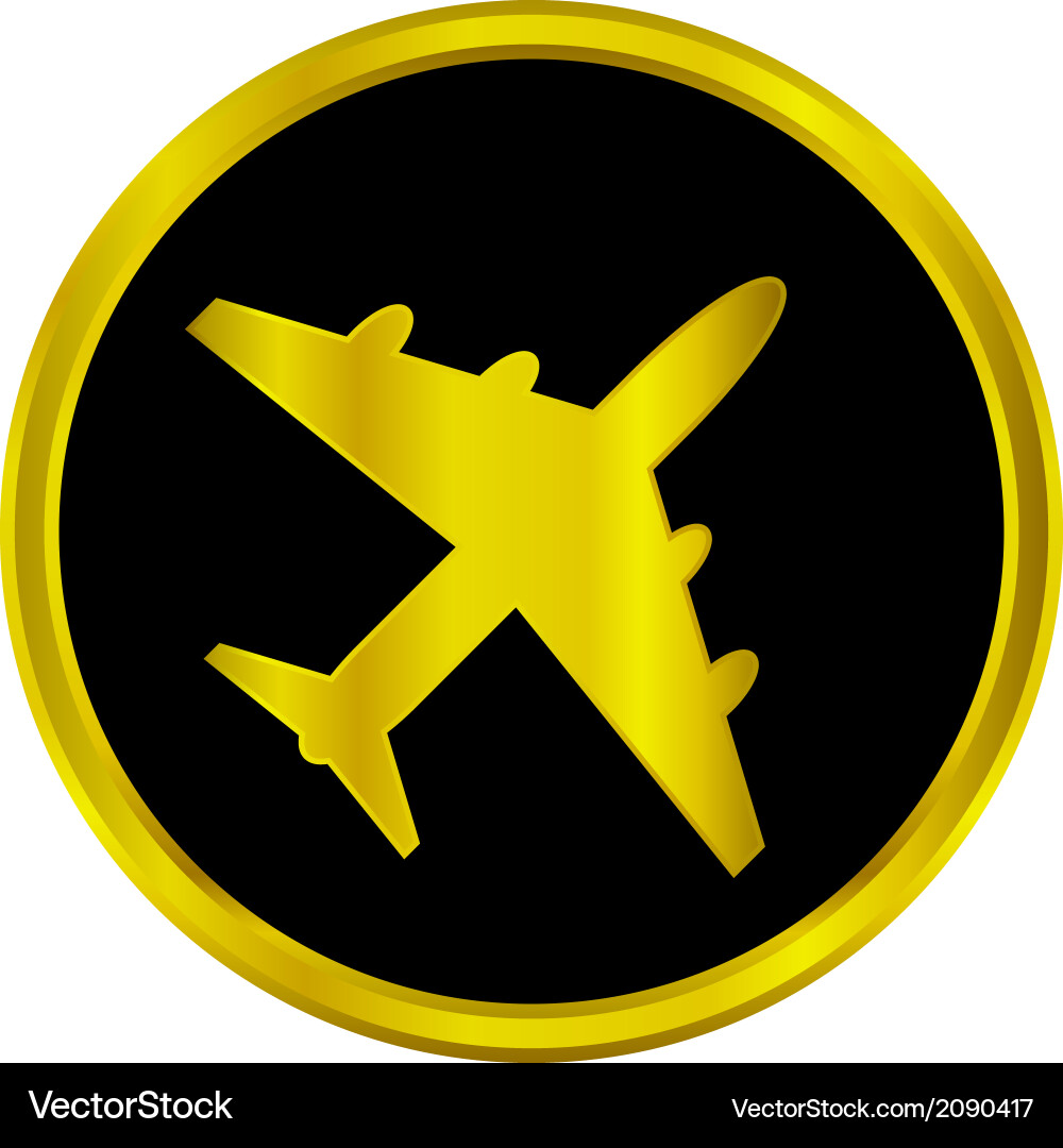 Airplane button Royalty Free Vector Image - VectorStock