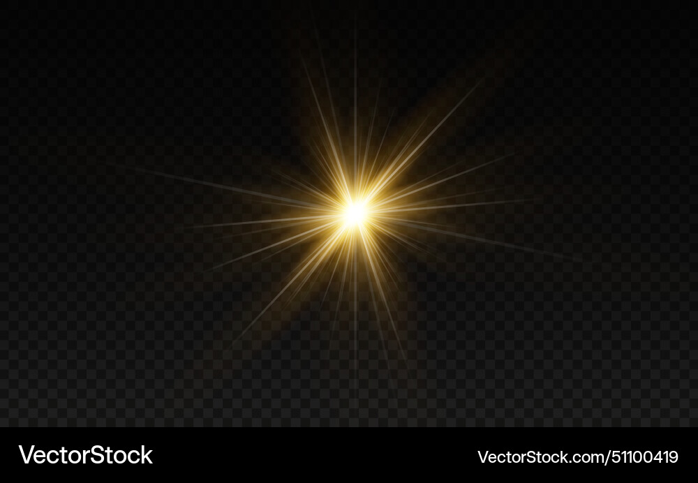 Shining golden star Royalty Free Vector Image - VectorStock