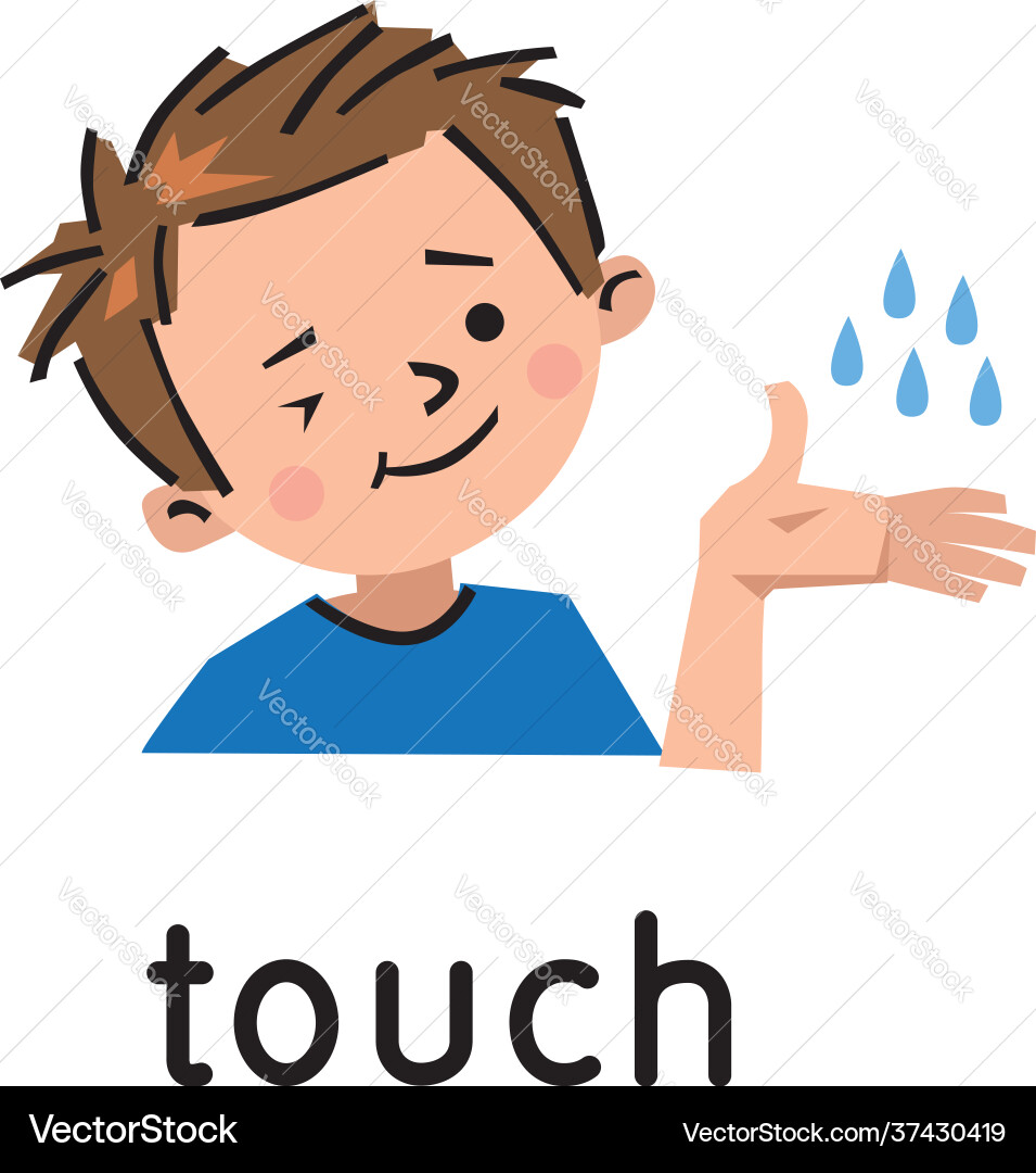Touch icon one five senses Royalty Free Vector Image