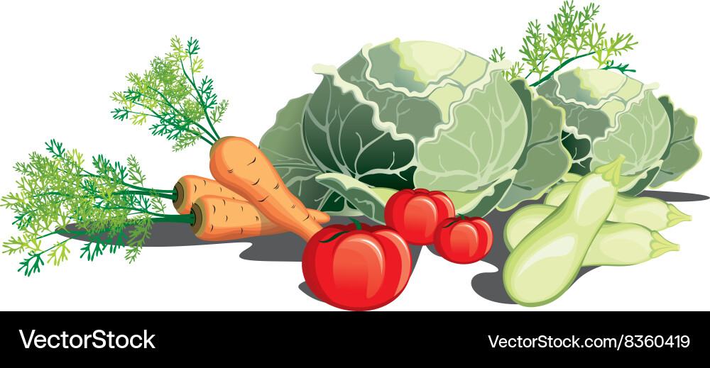 Vegetable Royalty Free Vector Image - VectorStock