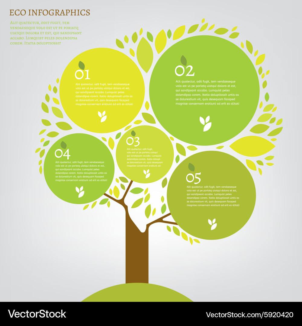 Leaf infographic Royalty Free Vector Image - VectorStock
