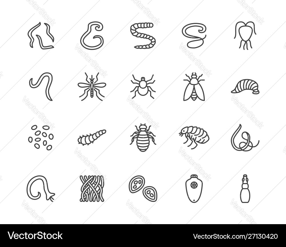 Flatworm Vector Images (over 170)