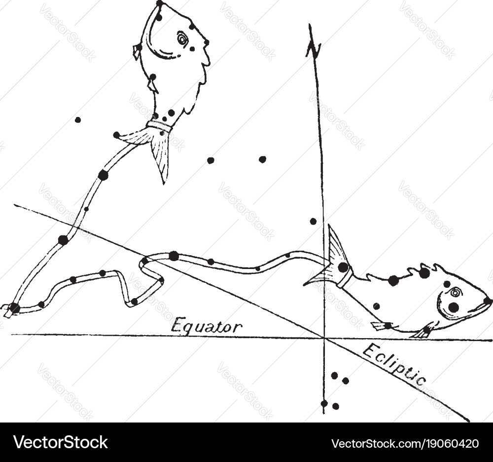 Pisces vintage Royalty Free Vector Image - VectorStock