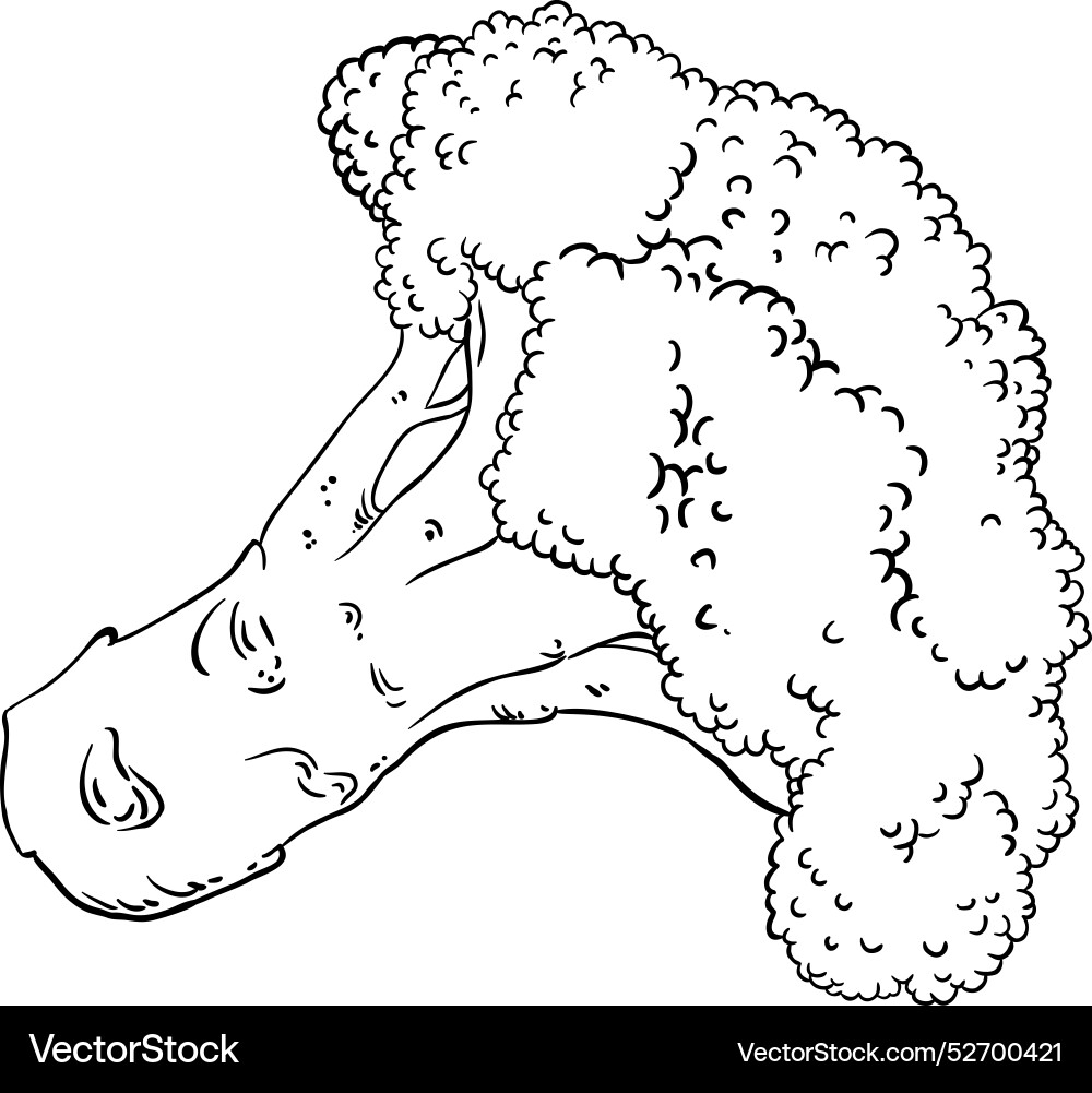 Broccoli vegetable isolated outline Royalty Free Vector