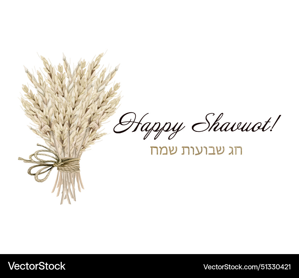 Happy shavuot greeting banner hebrew chag sameach Vector Image