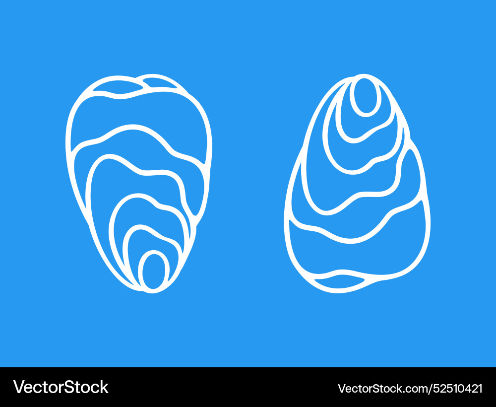 Oyster Royalty Free Vector Image - VectorStock