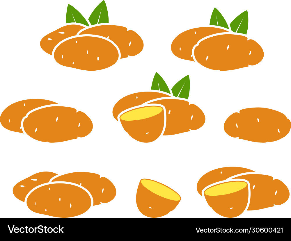 Potato Royalty Free Vector Image - VectorStock