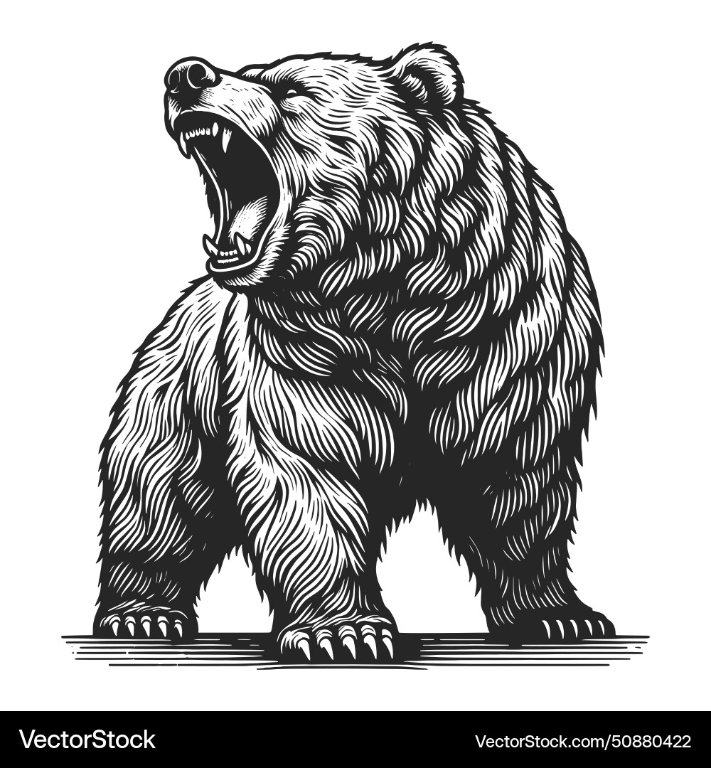 Ferocious bear roaring Royalty Free Vector Image