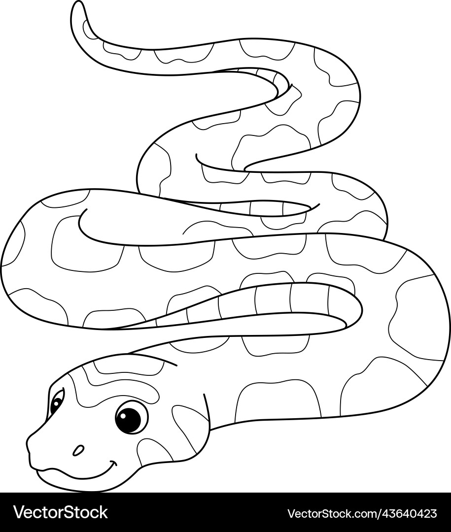 Cute Corn Snake Coloring Page Royalty Free Vector Image