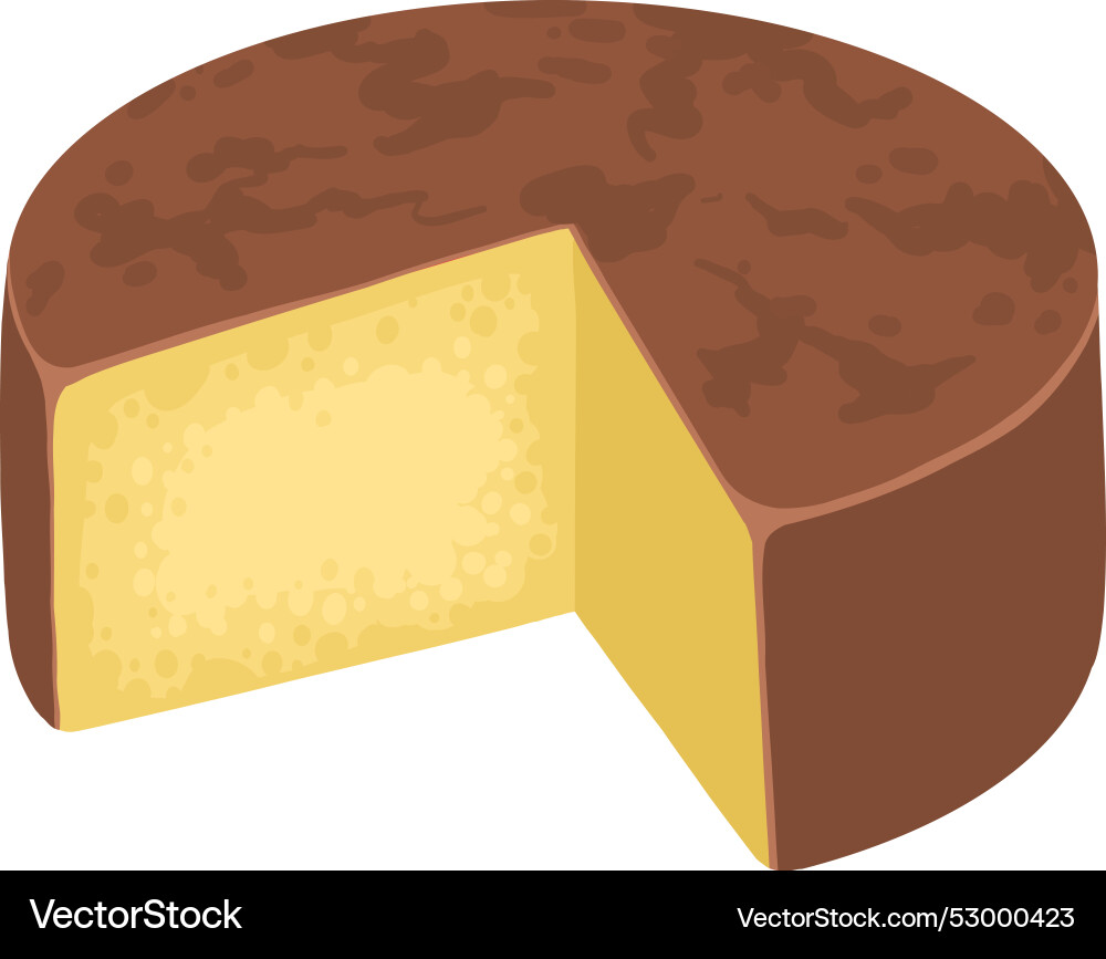 Flat cheese delicious dairy product fresh farm Vector Image